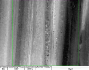 SEM for Surface Roughness – Ebatco Lab Services